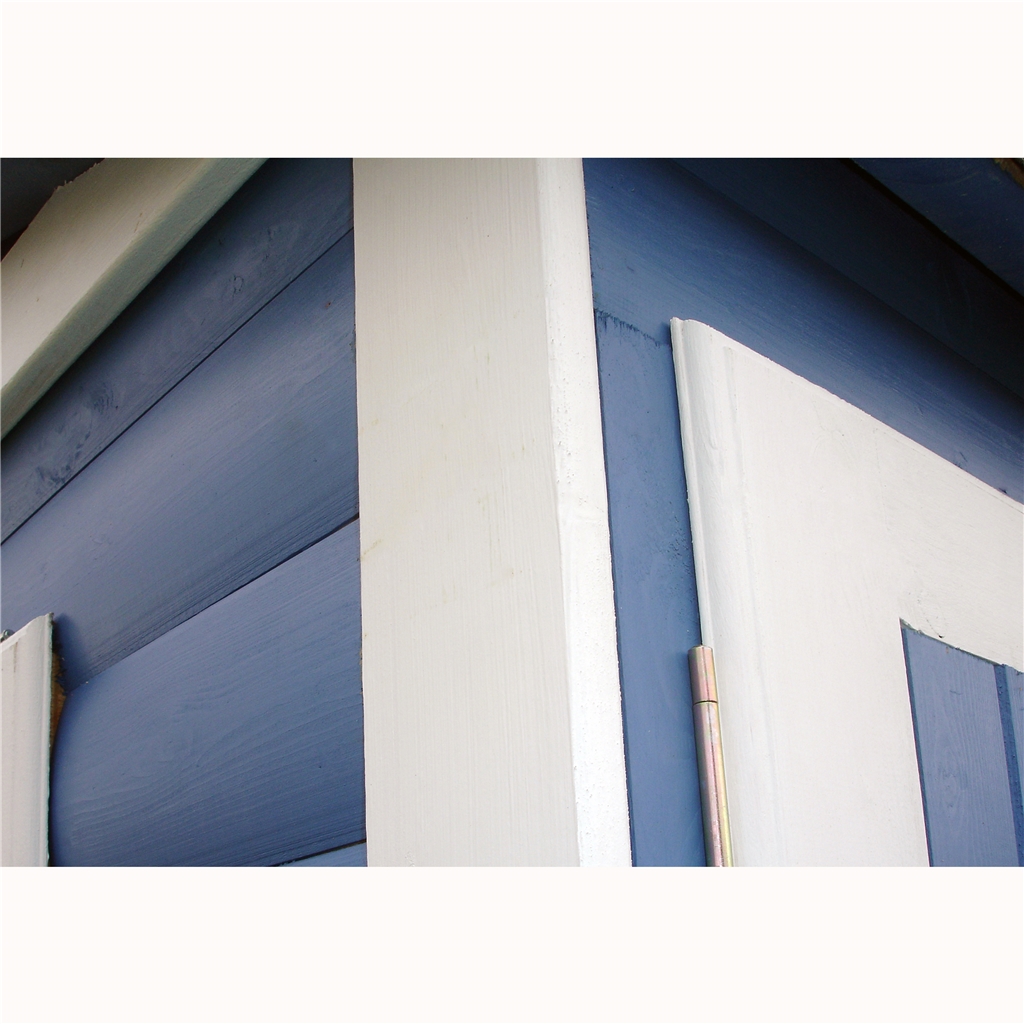 12 X 18 - Tongue & Groove - Apex Workshop - 2 Opening Window - Double ...